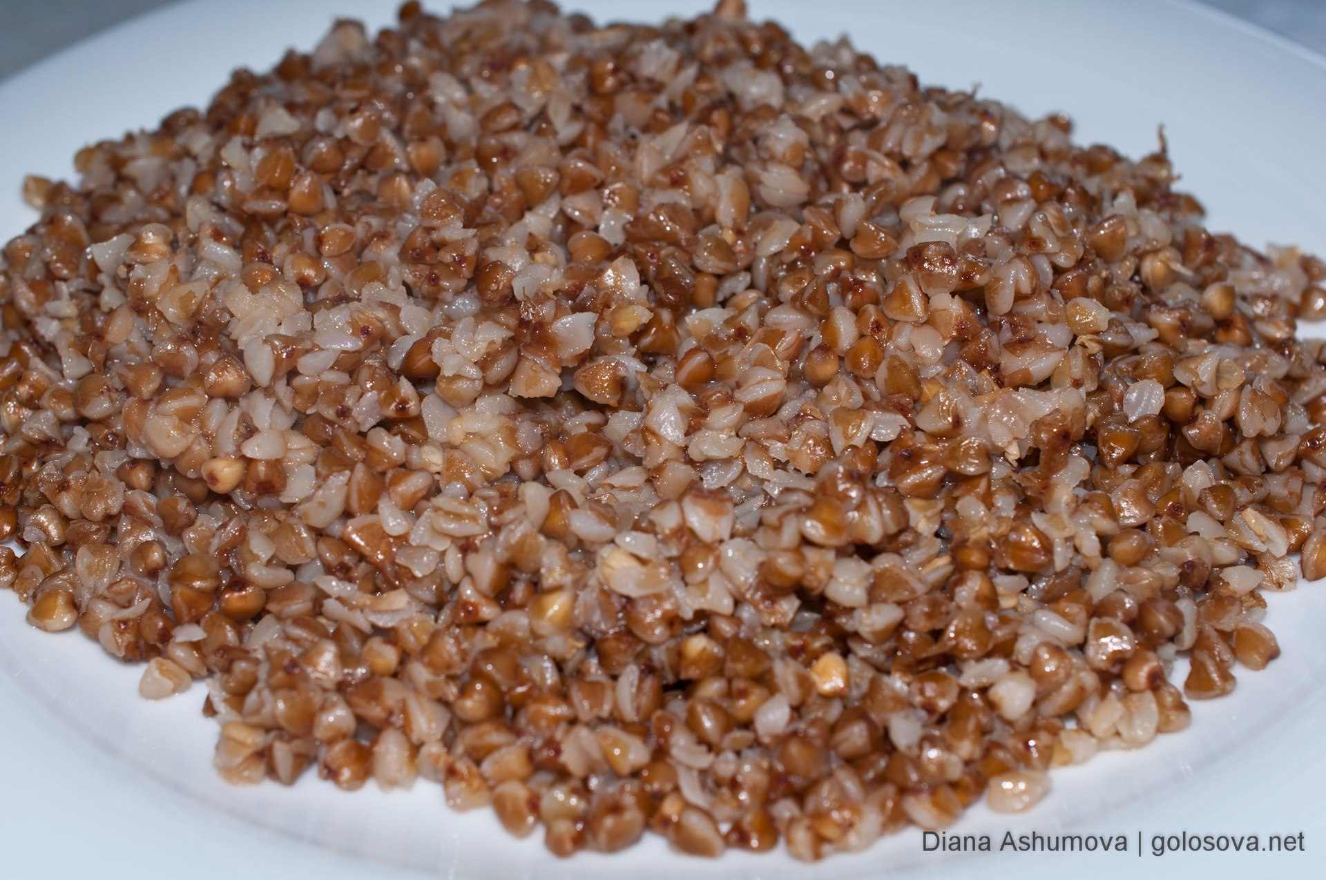 Polygonaceae: The Buckwheat Family - Floral Prisms
